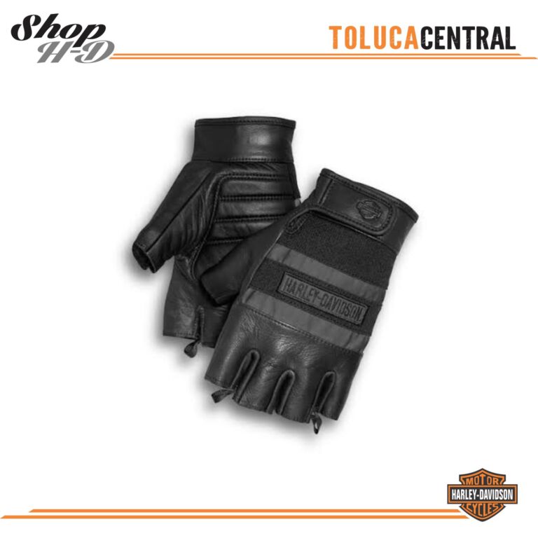 Gargoyle X07 3-in-1 Helmet | Shop H-D Toluca Central