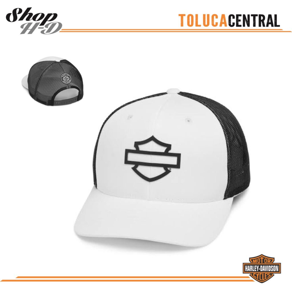 Gargoyle X07 3-in-1 Helmet | Shop H-D Toluca Central